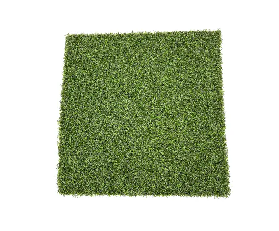 Putting Green | WinterGreen Synthetic Grass Product in DFW